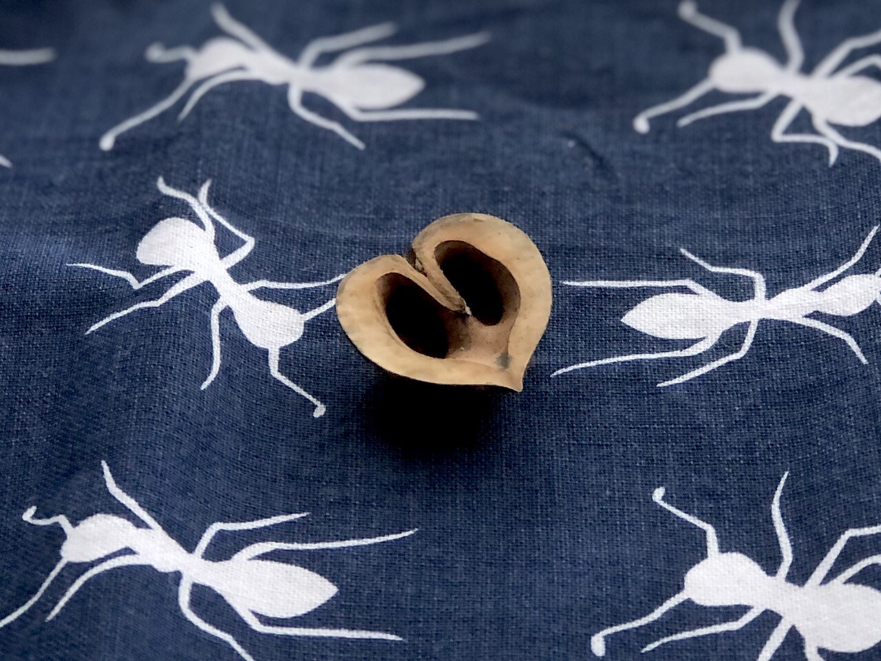 shanneiのページ | YAMAP / ヤマップ