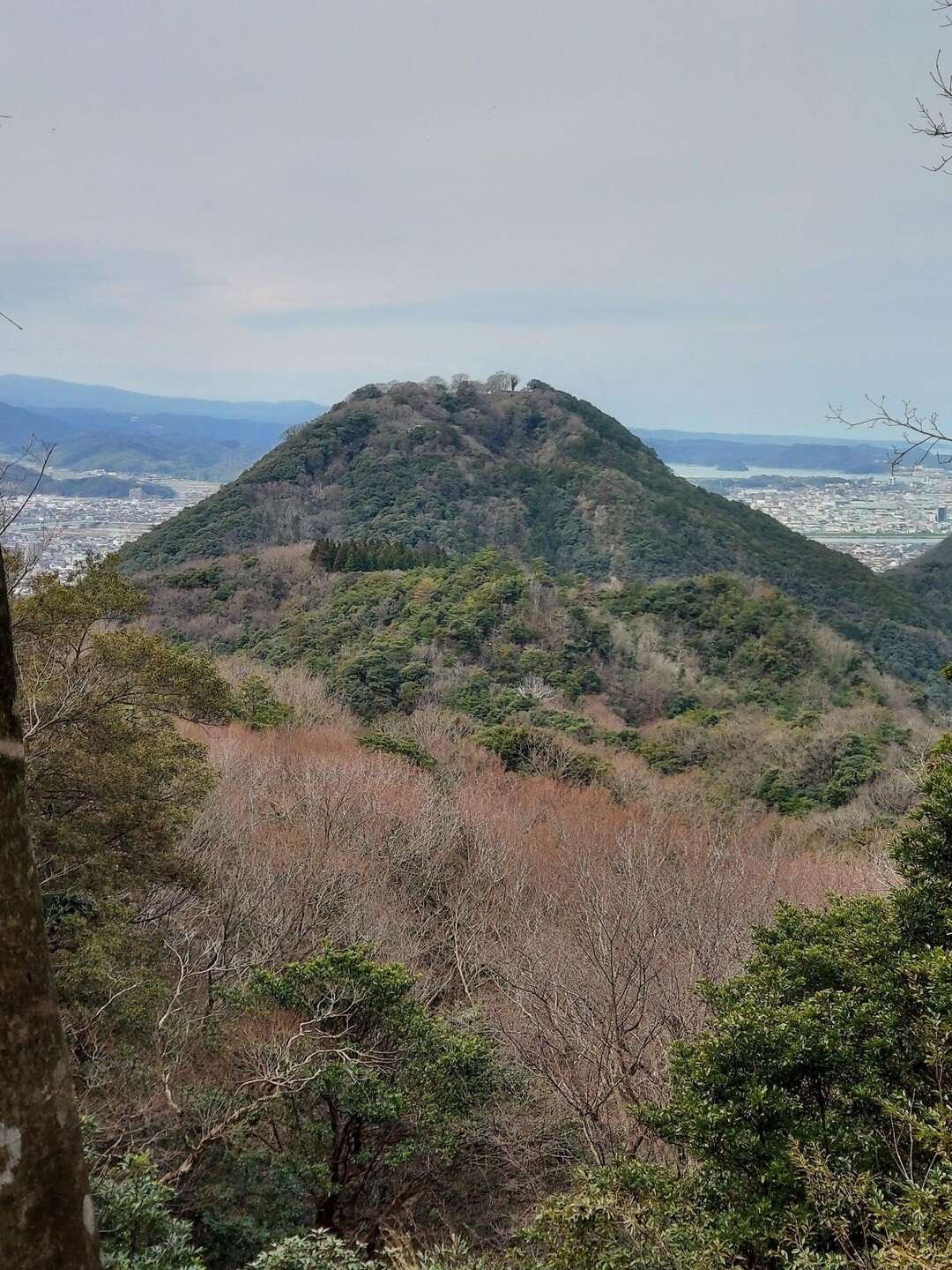 R6.3,19 本陣山 / さちさんの久松山・本陣山・摩尼山の活動データ | YAMAP / ヤマップ