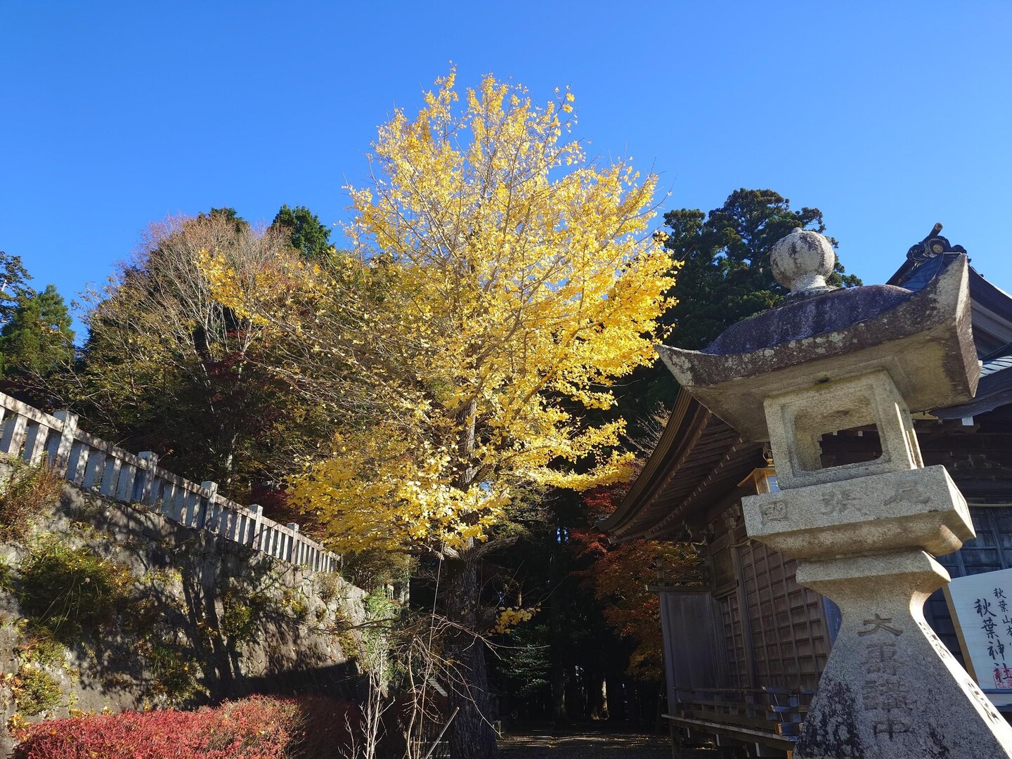 🍁秋の秋葉山🗻 / yagarinさんの秋葉山の活動データ | YAMAP / ヤマップ