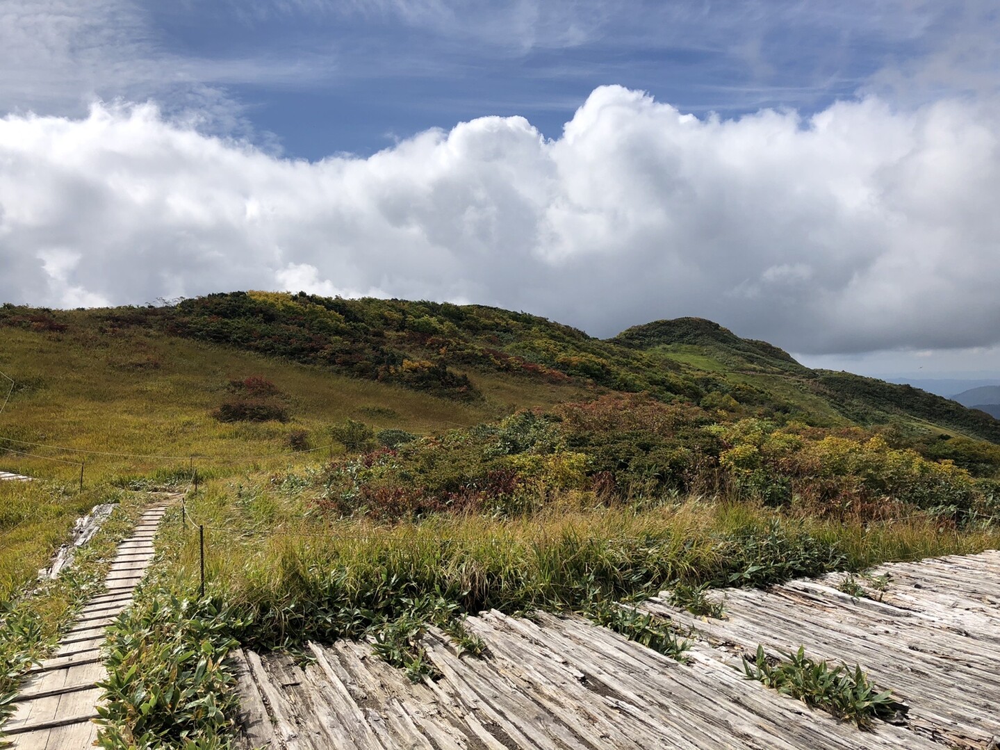 前岳・浅草岳 / j8さんの浅草岳・鬼ヶ面山の活動データ | YAMAP / ヤマップ