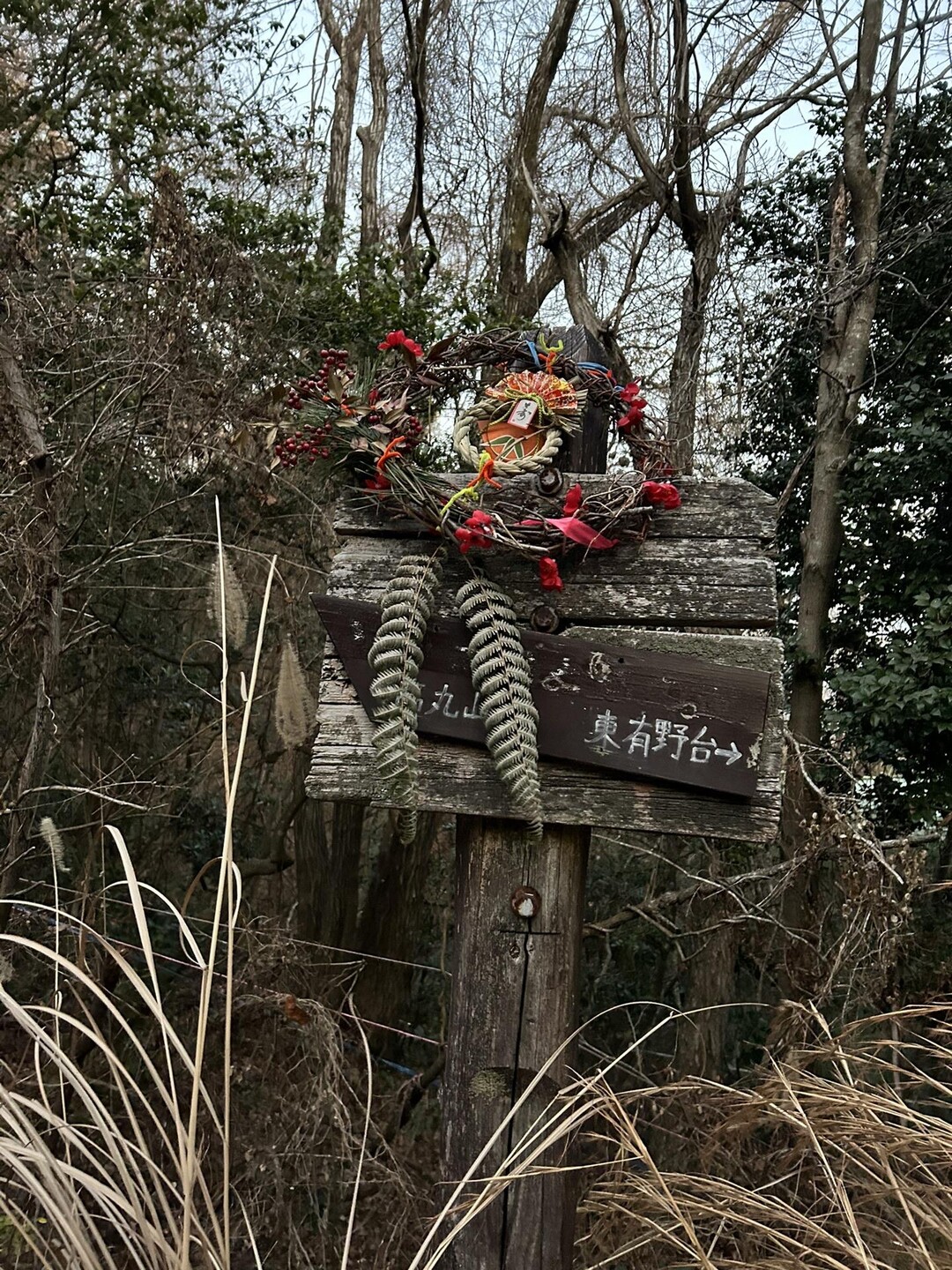 高丸山 / ten tenさんの六甲山・長峰山・摩耶山の活動データ | YAMAP / ヤマップ