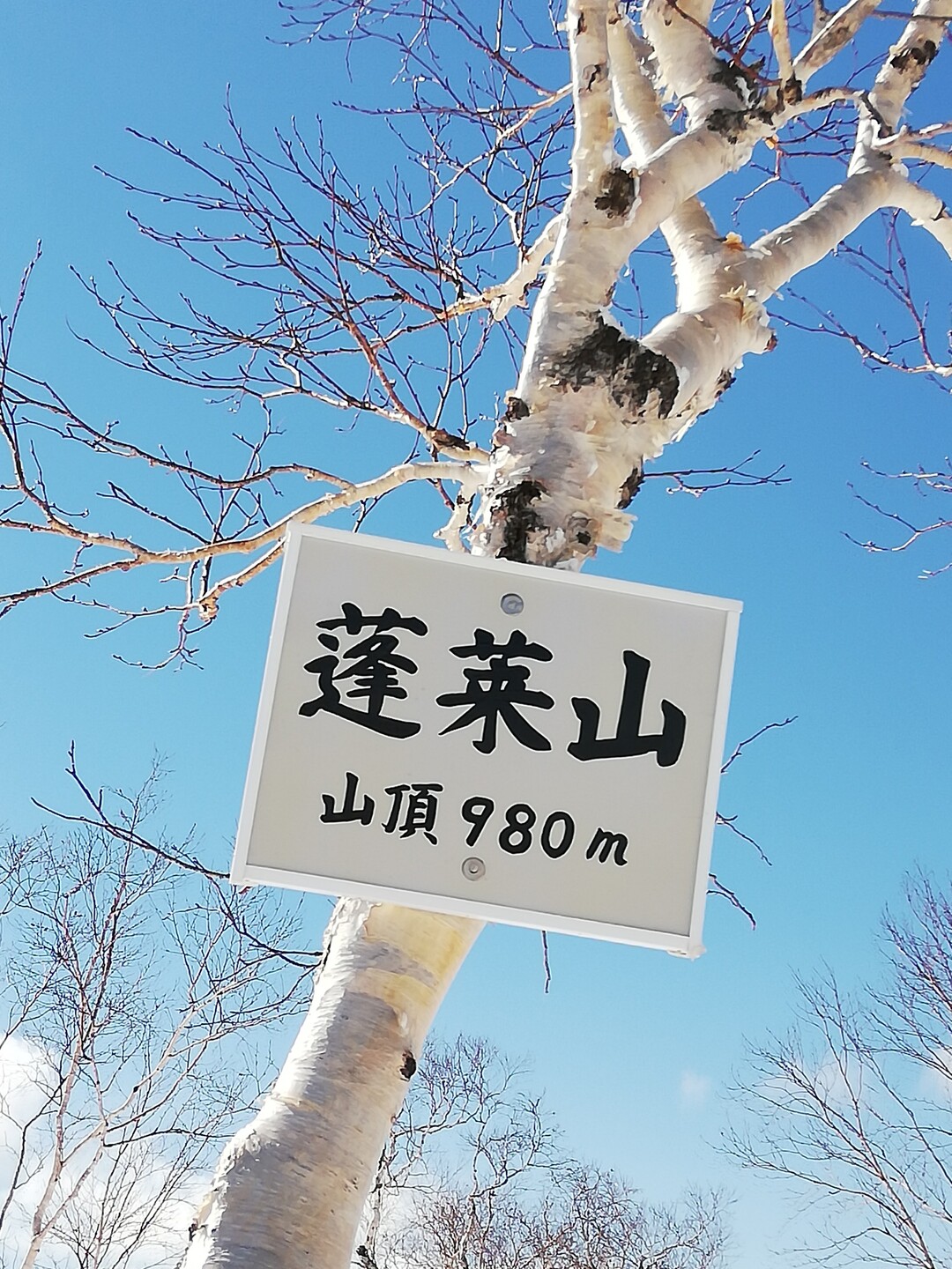 春の陽射しの蓬莱山 / noriGさんの蓬莱山の活動データ | YAMAP / ヤマップ