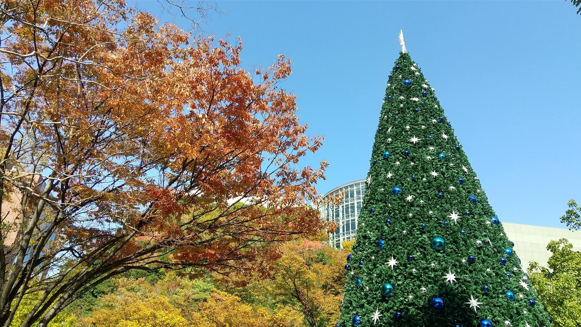 アクロス山（zoo / 富ちゃんさんのアクロス山の活動データ | YAMAP / ヤマップ