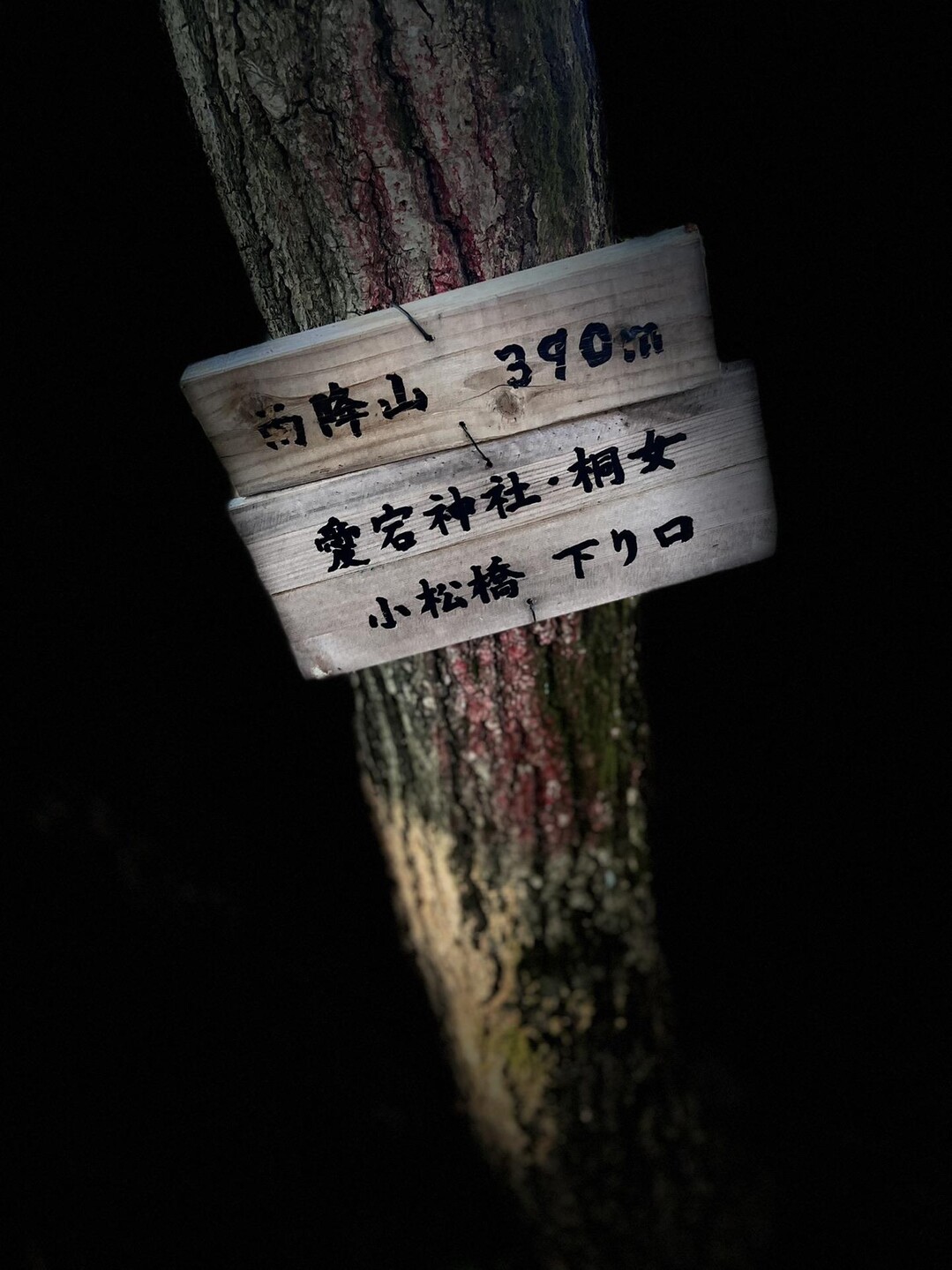 今日で終ろうとして居る[G＆Mﾁｬﾝ]コ... / ｺﾖｩﾃ(coyote)さんのモーメント | YAMAP / ヤマップ