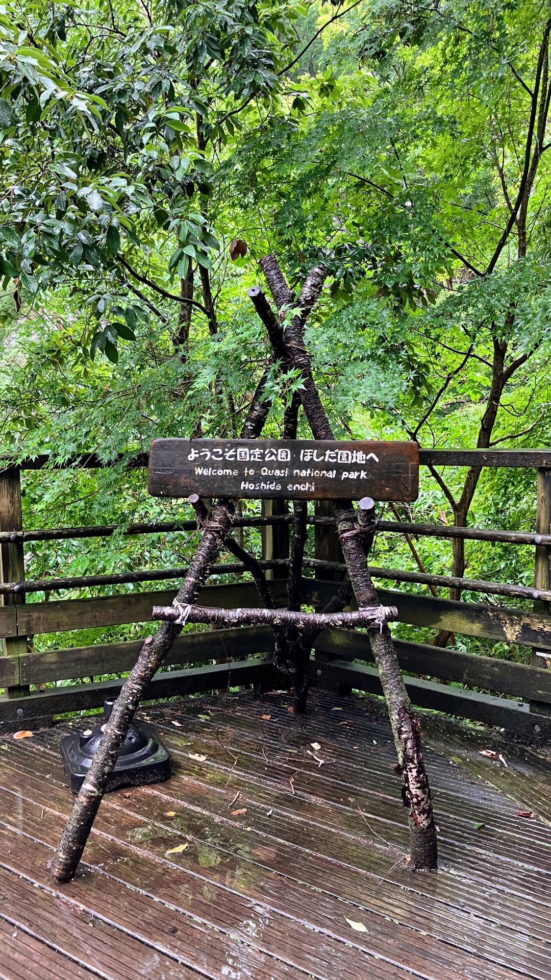 星田園地で〇〇座達成🎉 / pongoさんの交野山・国見山の活動データ | YAMAP / ヤマップ