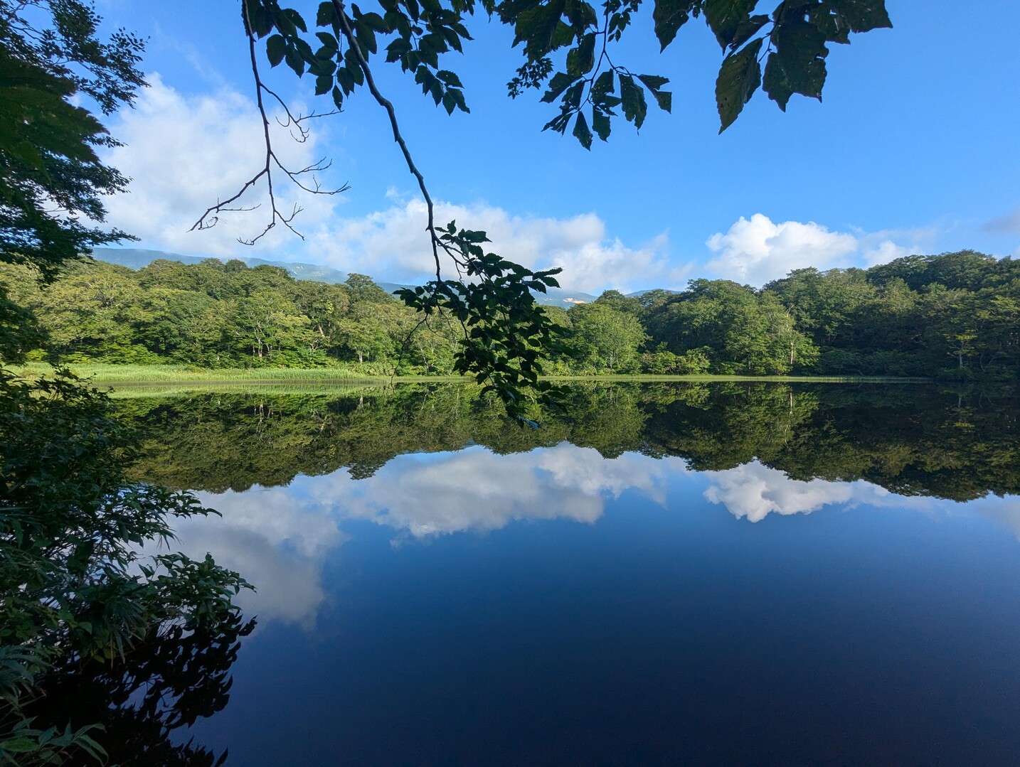 焼石岳・東焼石岳 / 大江112合目さんの焼石岳・兎森山・鷲ヶ森山の活動データ | YAMAP / ヤマップ
