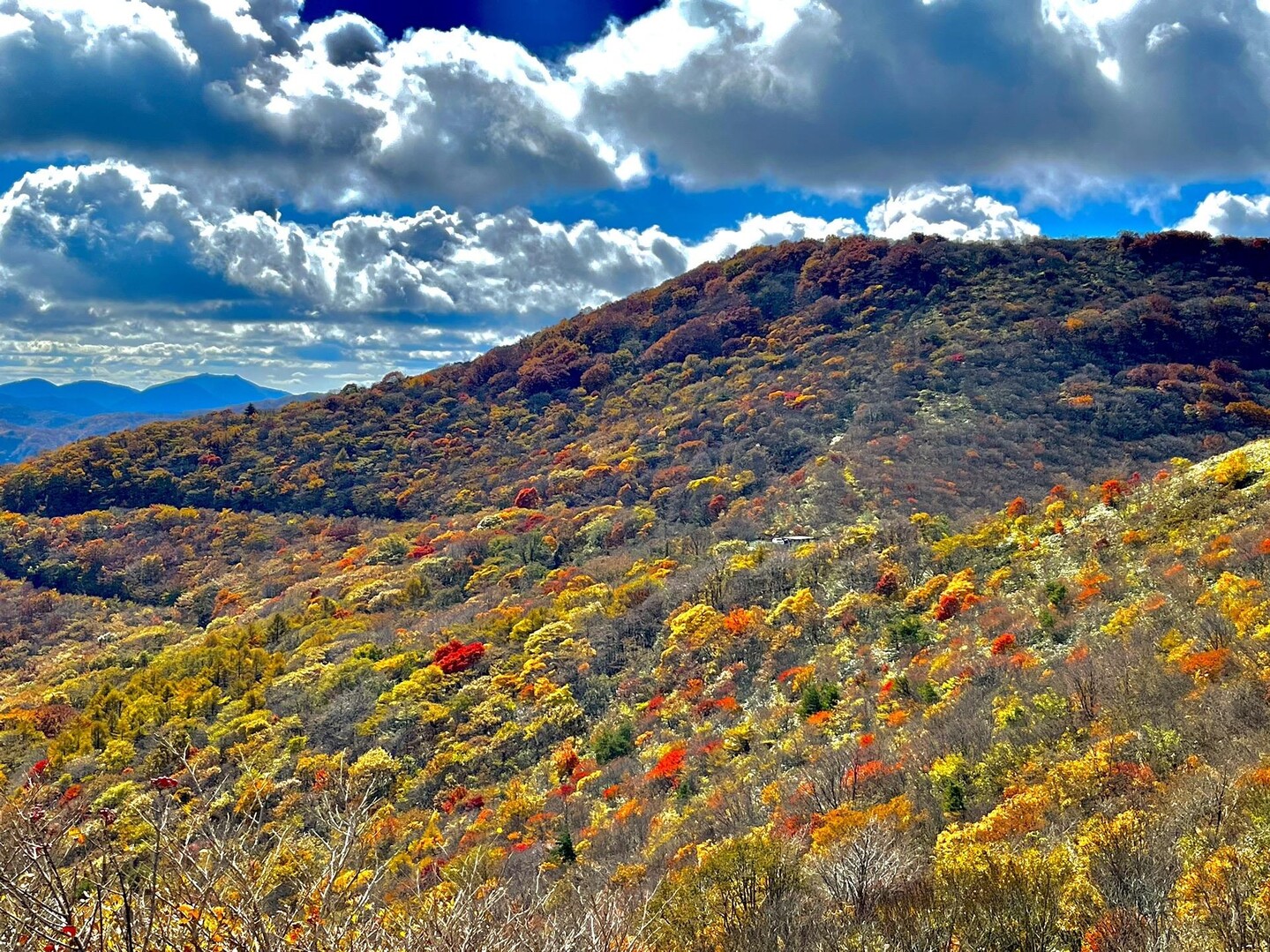 大将旗山・額取山 / keyさんの額取山（安積山）の活動データ | YAMAP / ヤマップ