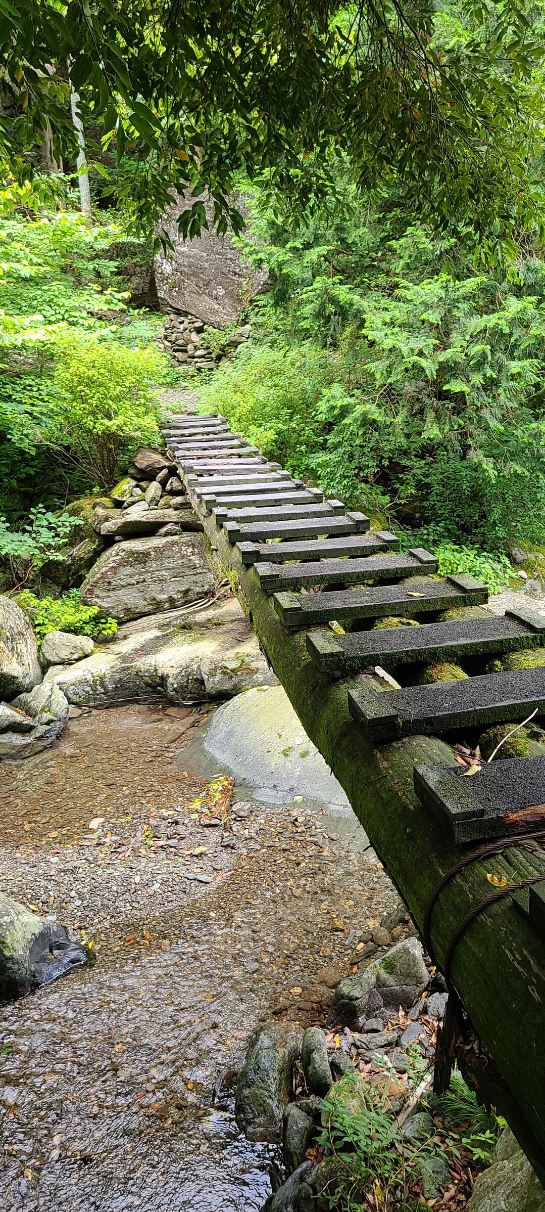 【ソロ活動】リスタート🐿️(赤星山・豊受山) / kaz23さんの赤星山・豊受山の活動データ | YAMAP / ヤマップ