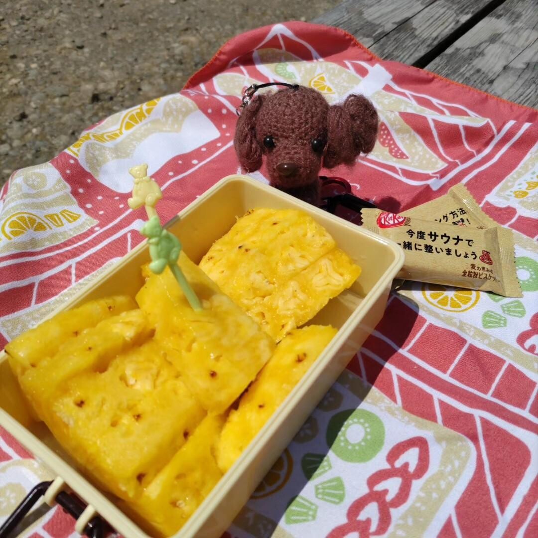 筑波山で 山おやつ😋 程よく冷えたパイ... / kayoさんのモーメント | YAMAP / ヤマップ