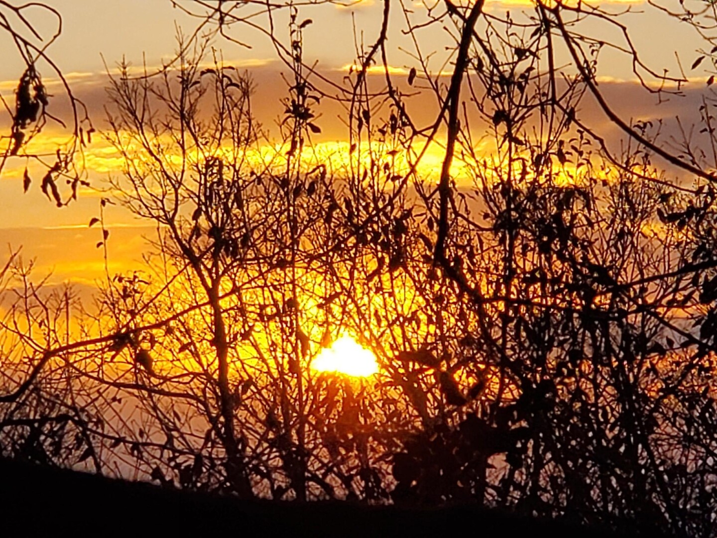 二上山（雌岳） / kiyoさんの金剛山・二上山・大和葛城山の活動日記 | YAMAP / ヤマップ