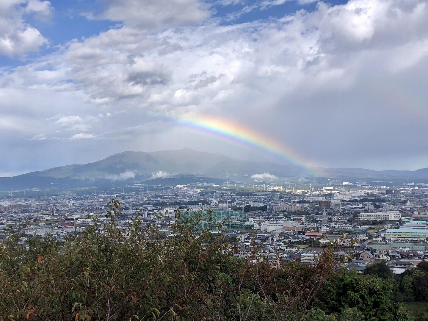 沼津アルプス+α（12座） / kiyoさんの沼津アルプス・鷲頭山・香貫山の活動日記 | YAMAP / ヤマップ