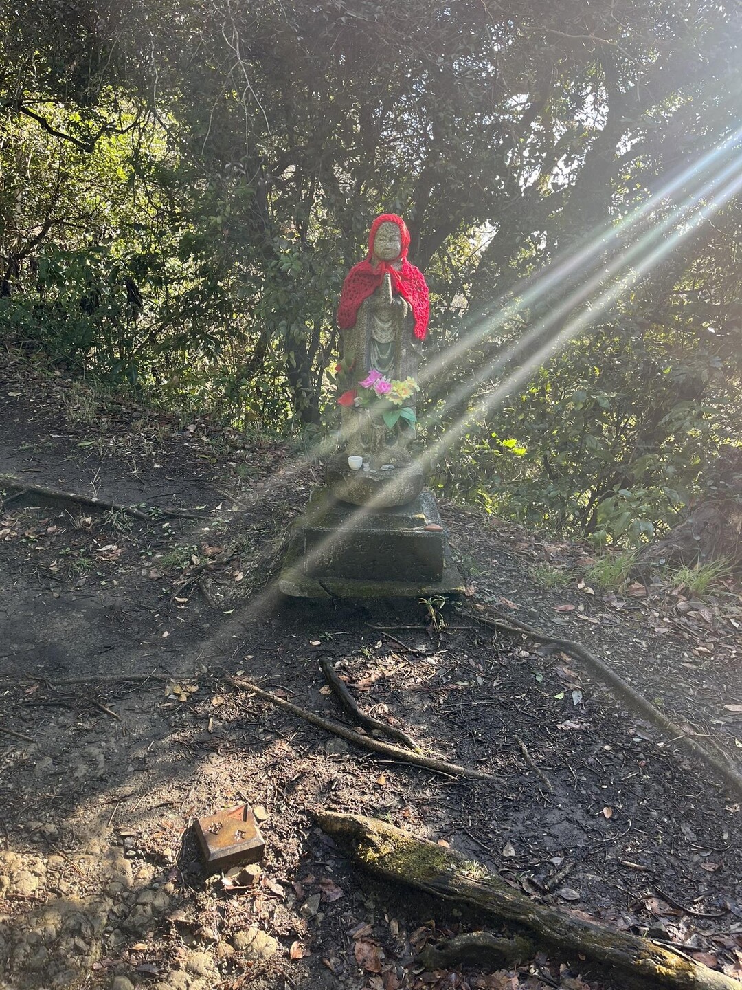 富士山（三浦富士）・砲台山・武山 / Holovitzさんの大楠山・武山・三浦富士の活動データ | YAMAP / ヤマップ