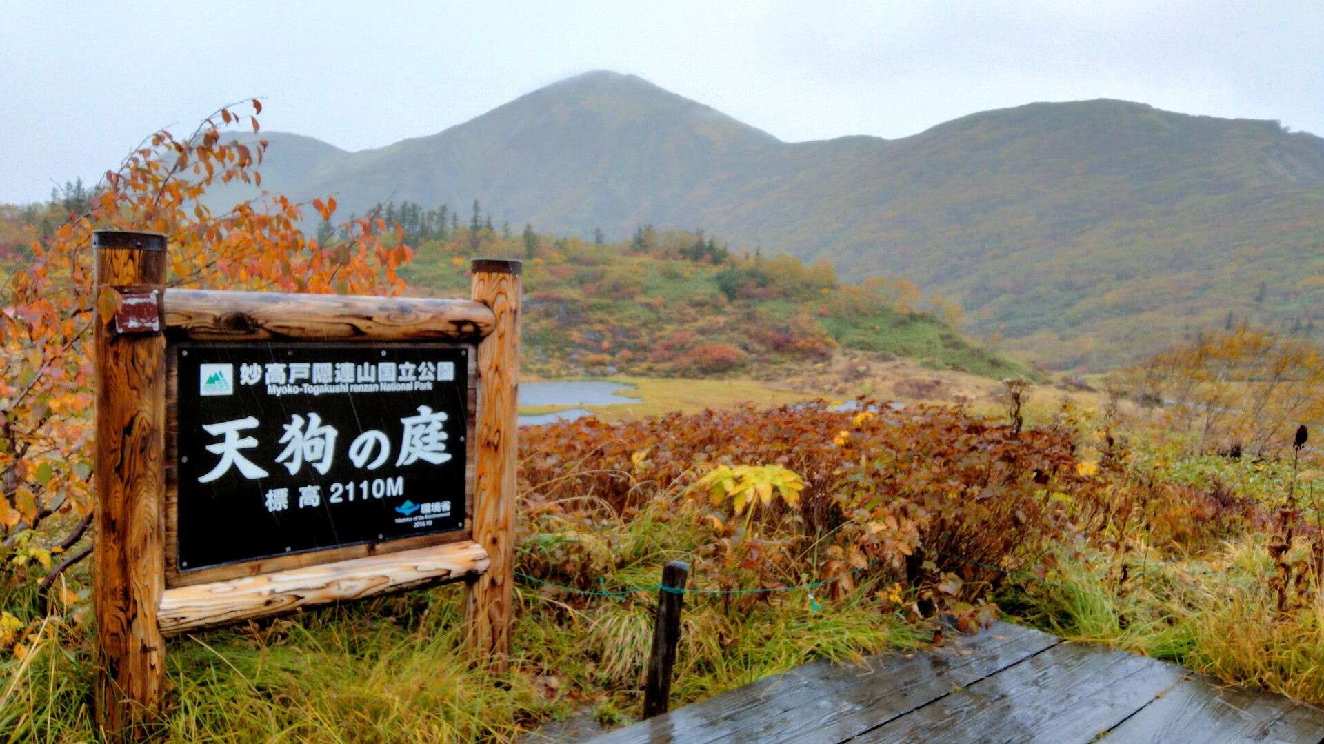 火打山 / TEAM YJ MOUNTAINEERINGさんの妙高山・火打山の活動データ | YAMAP / ヤマップ