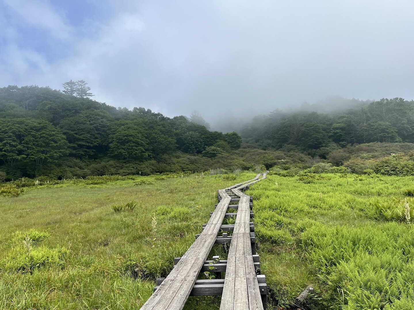 方塞山・横根山へ🐾 / hachacha-umemeさんの横根山・方塞山・井戸湿原の活動日記 | YAMAP / ヤマップ