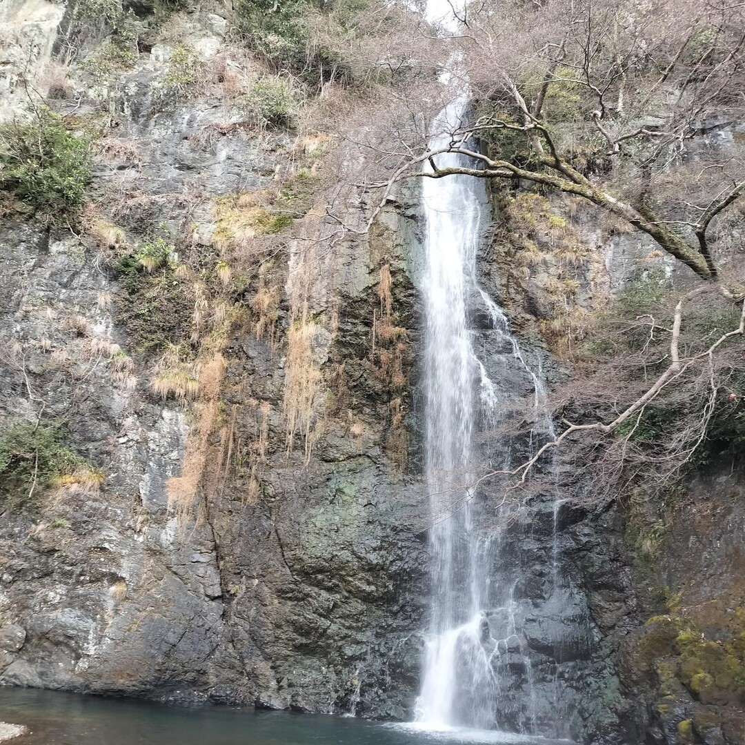 東海自然歩道 西起点（箕面〜泉原） / nanoooさんの竜王山・阿武山の活動データ | YAMAP / ヤマップ