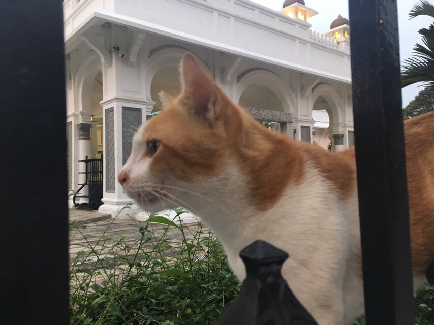 Junのページ | YAMAP / ヤマップ