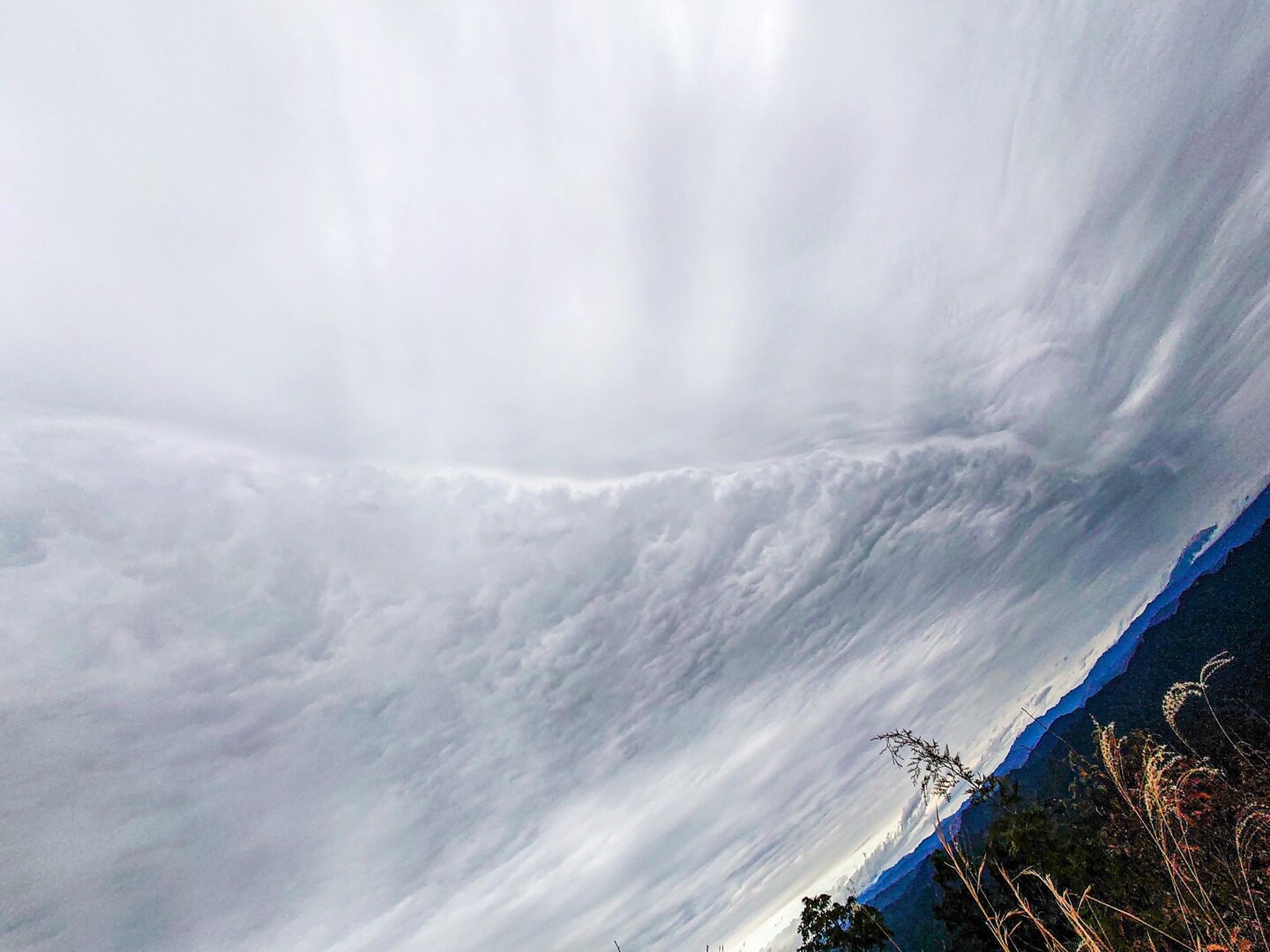 納古山 / talviさんの納古山の活動データ | YAMAP / ヤマップ