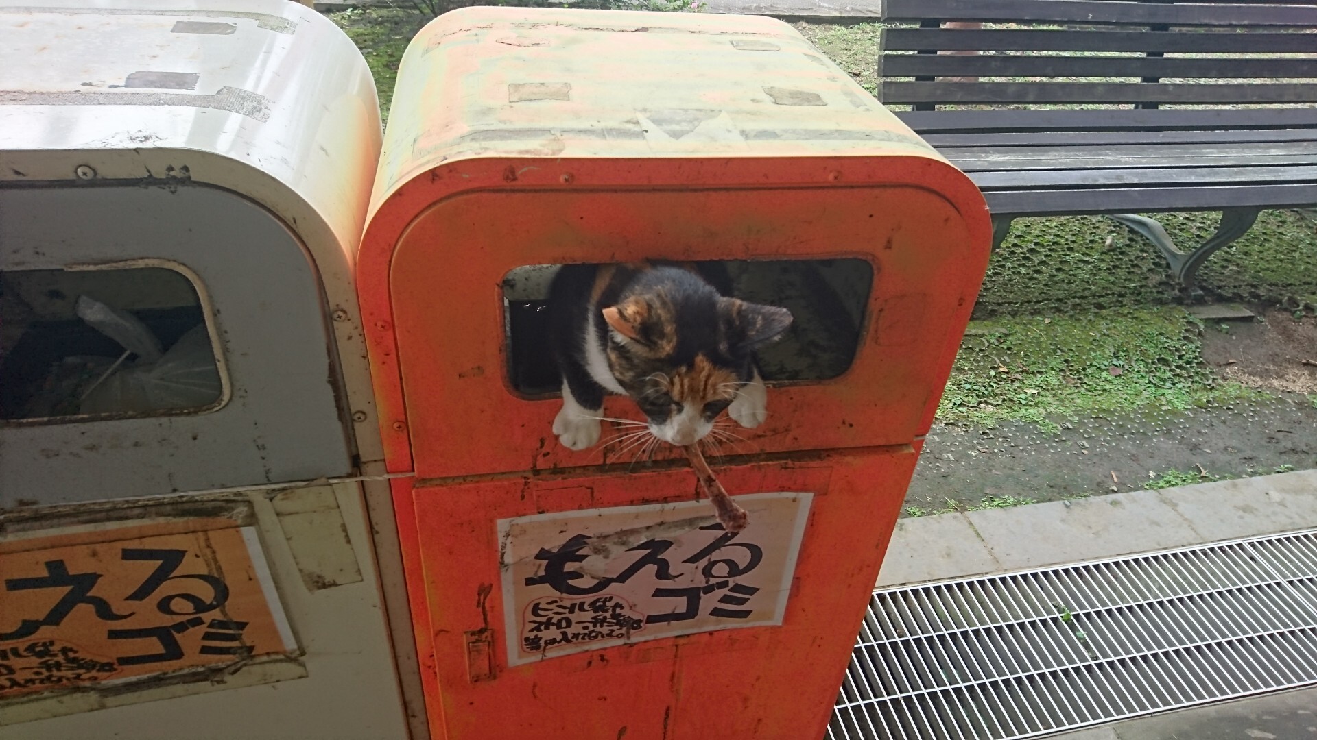 オサンポマロンのページ | YAMAP / ヤマップ