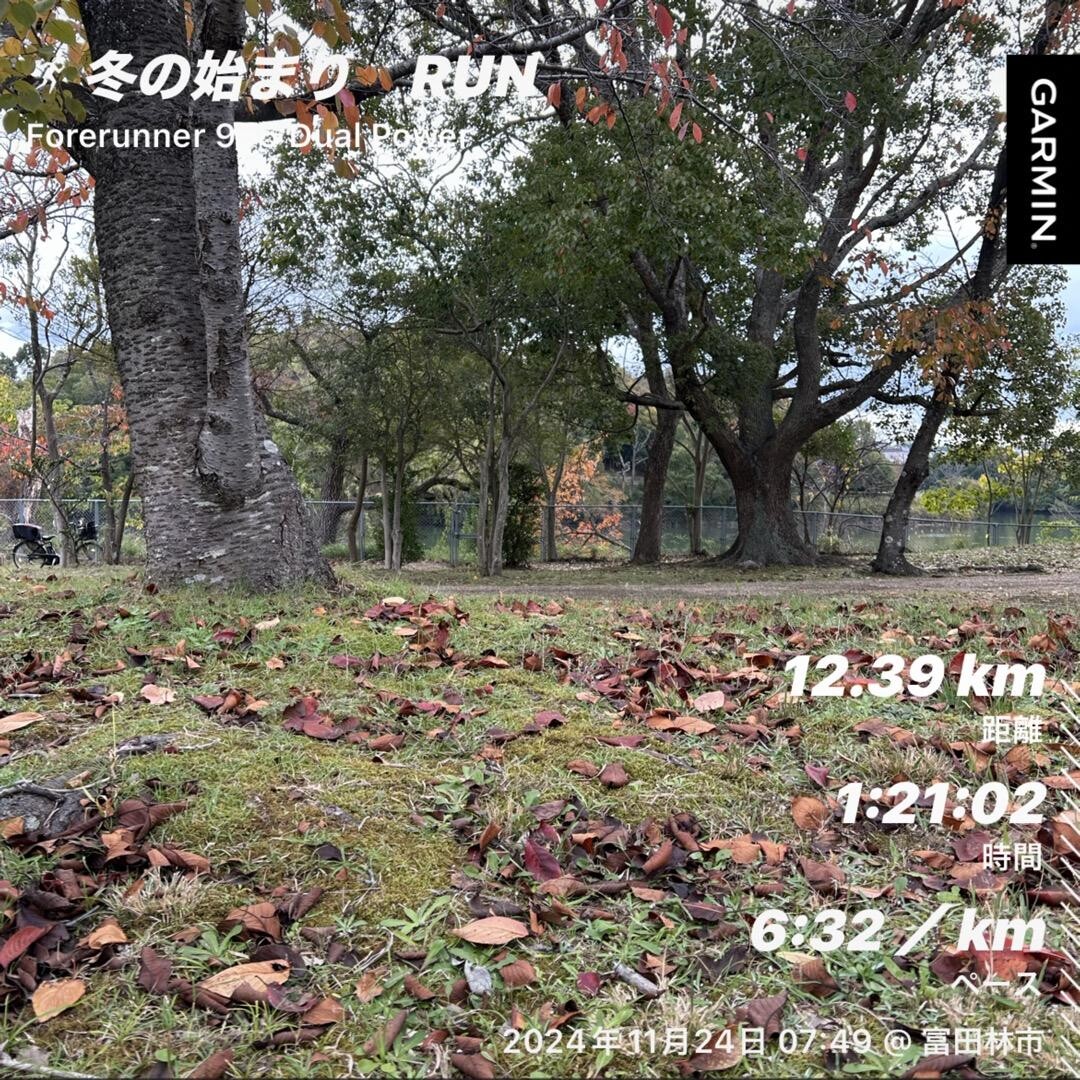 今日も体力作りRUN 山は遠い / Hiromin in M.t さんのモーメント | YAMAP / ヤマップ