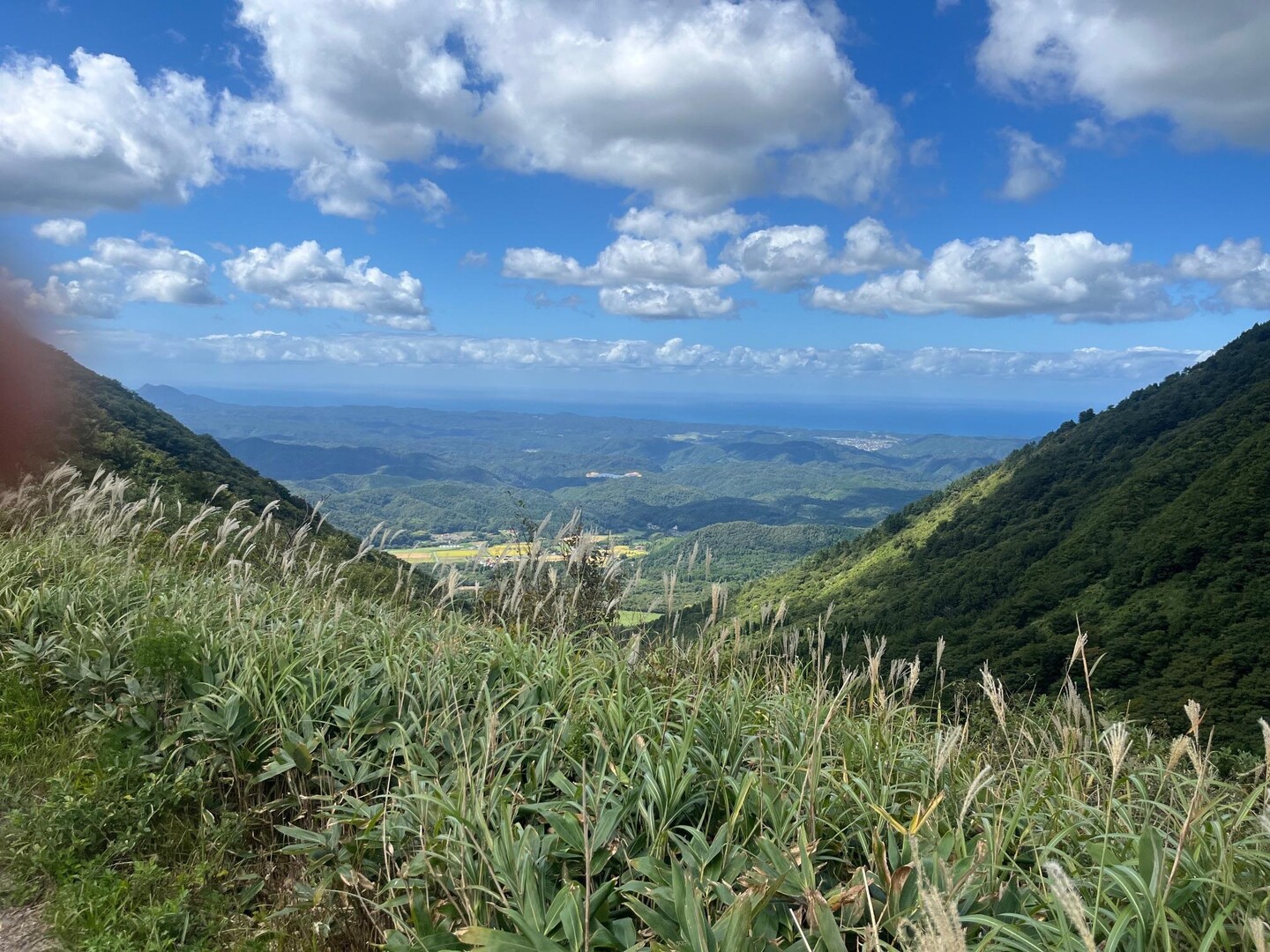 大平山・孫三瓶山・子三瓶山・赤雁山・男三瓶山（三瓶山）・兜山・女三瓶山 / U’Zさんの三瓶山・大平山の活動日記 | YAMAP / ヤマップ