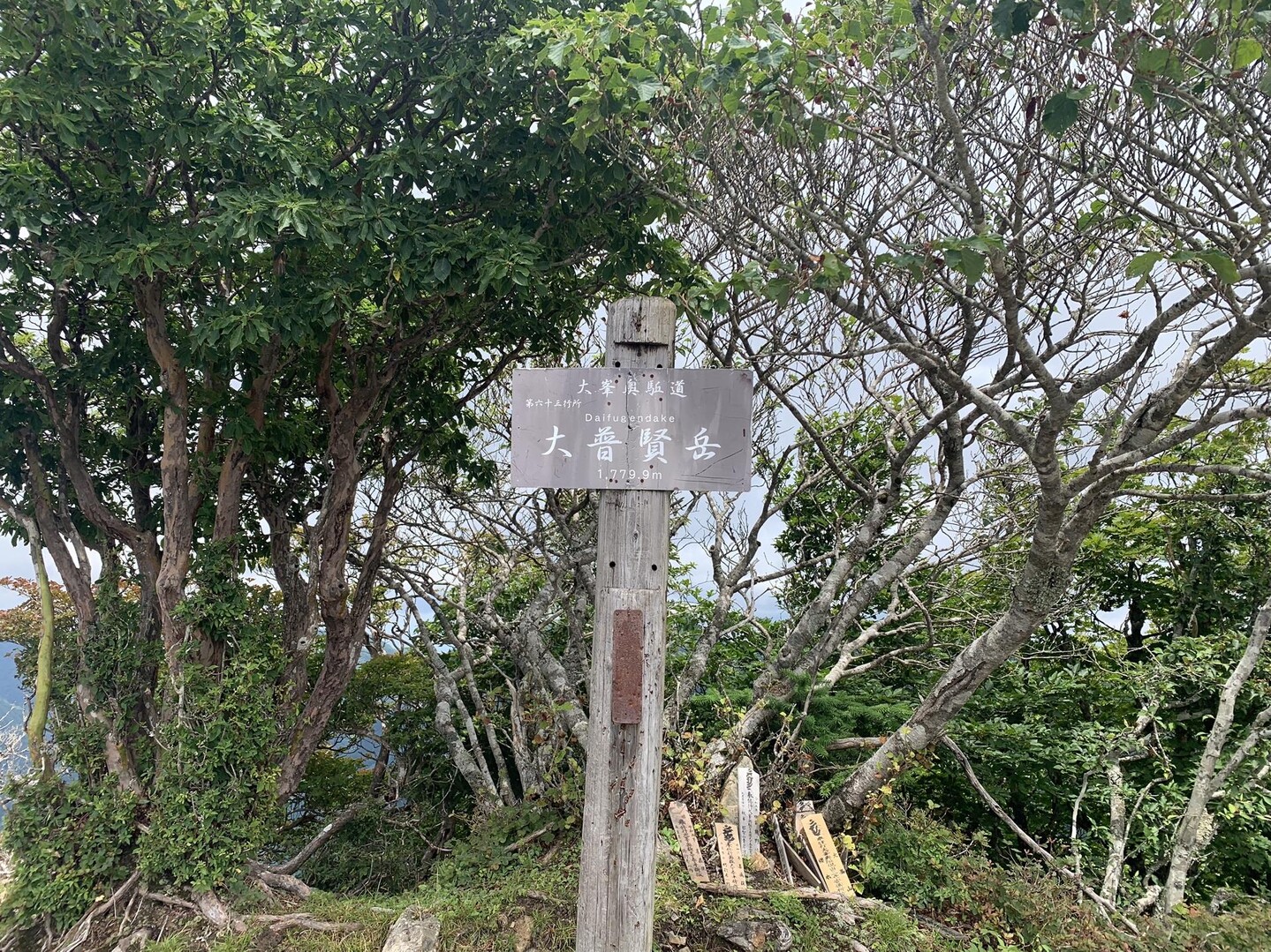 和佐又山・日本岳・小普賢岳・大普賢岳 / mh-mhさんの観音峯山・大普賢岳・山上ヶ岳・稲村ヶ岳の活動データ | YAMAP / ヤマップ