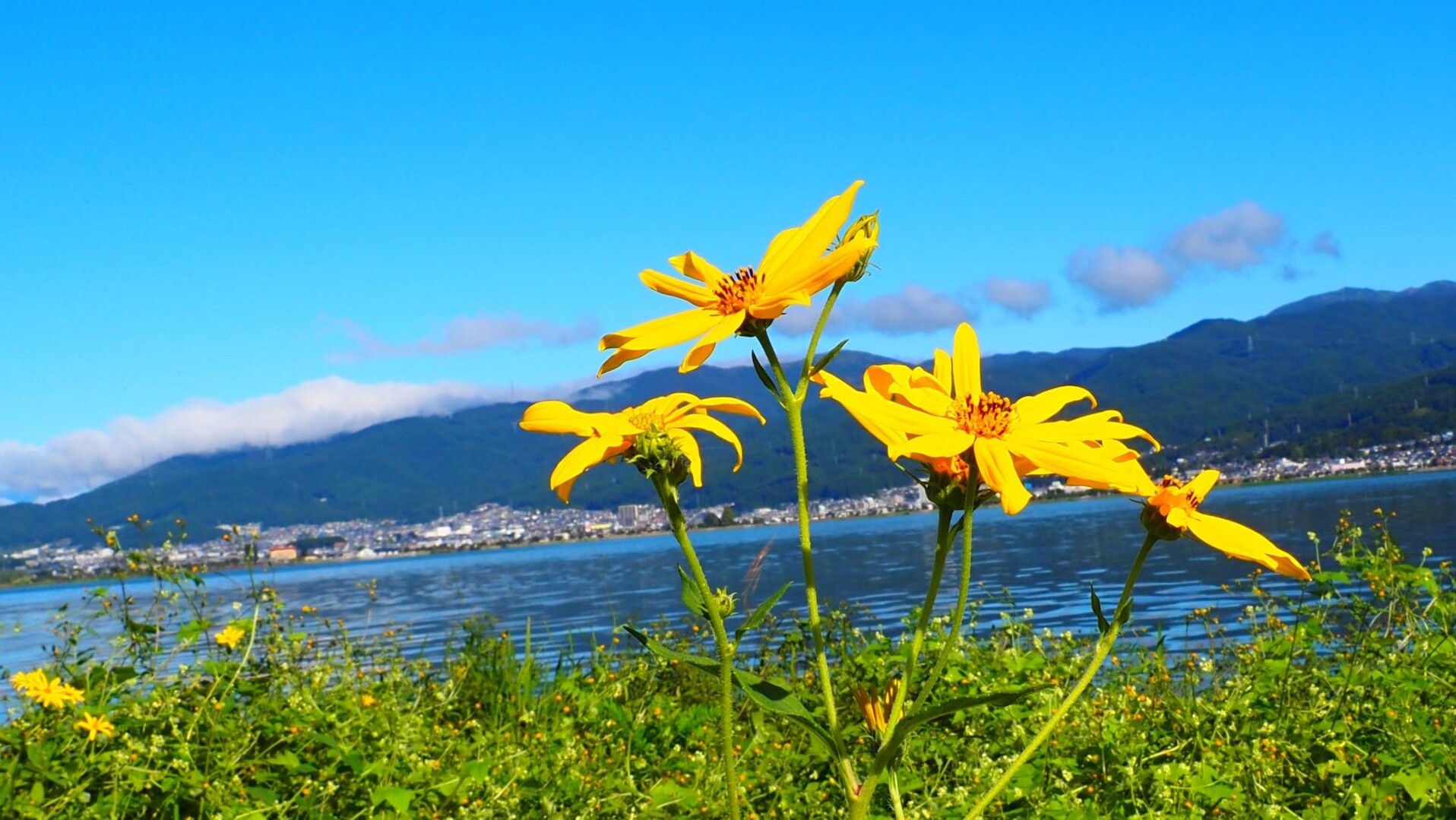 海外赴任時代のバドミントン仲間と、長野諏... / Ki zさんのモーメント | YAMAP / ヤマップ