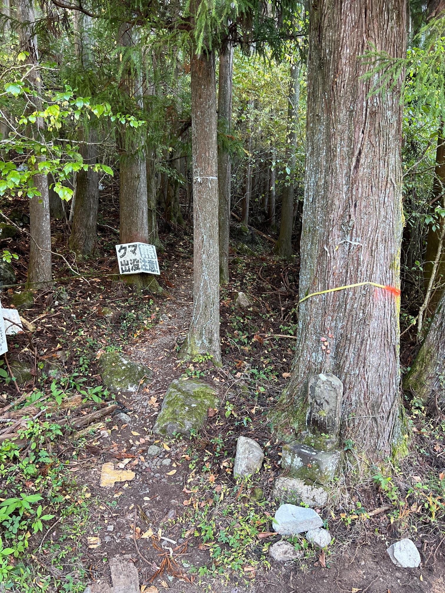 ken-endoさんの投稿したフィールドメモ | YAMAP / ヤマップ