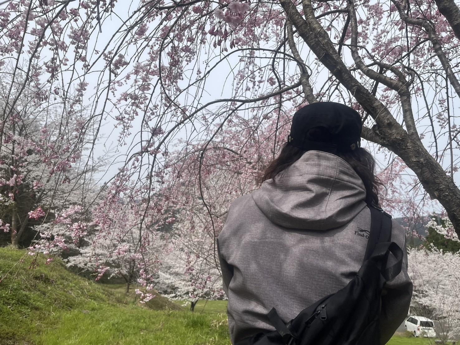 満開だよ！花見🌸弓掛山 / Ranさんの鼻高山・弥山・旅伏山の活動データ | YAMAP / ヤマップ