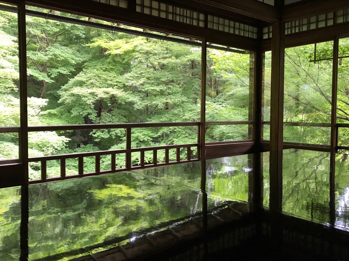 京のさんぽ10〜修学院離宮・瑠璃光院界隈 2020-07-18 / しろぱかさんの京都一周トレイルの活動日記 | YAMAP / ヤマップ