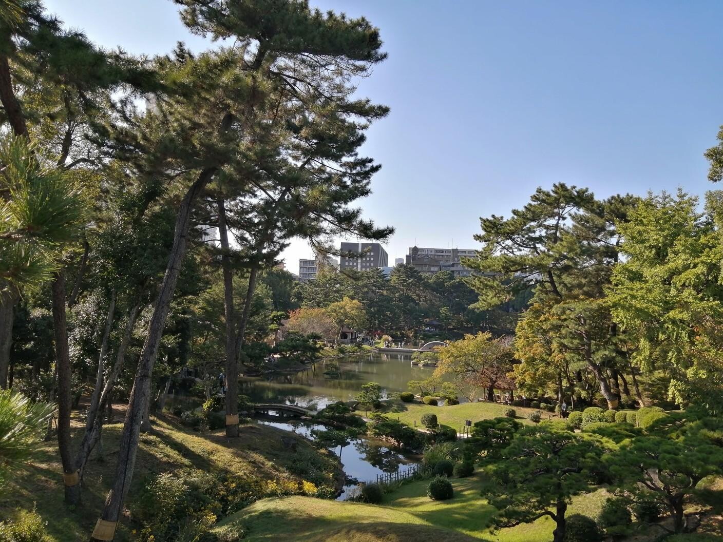 迎暉峰（園内最高峰） / Mini Houseさんの広島市の活動データ | YAMAP / ヤマップ