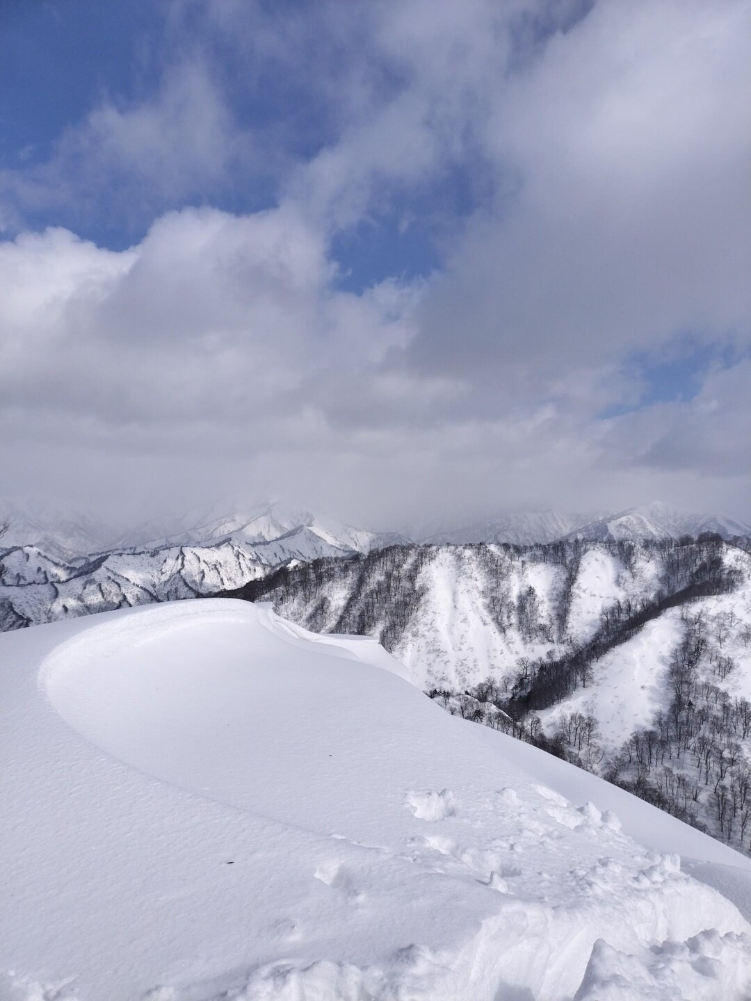 白太郎山 / muscari-mieさんの大朝日岳・朝日連峰・祝瓶山の活動データ | YAMAP / ヤマップ