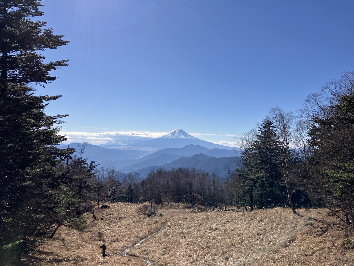 雁ヶ腹摺山 / sukeさんの雁ヶ腹摺山・岩殿山の活動データ | YAMAP / ヤマップ