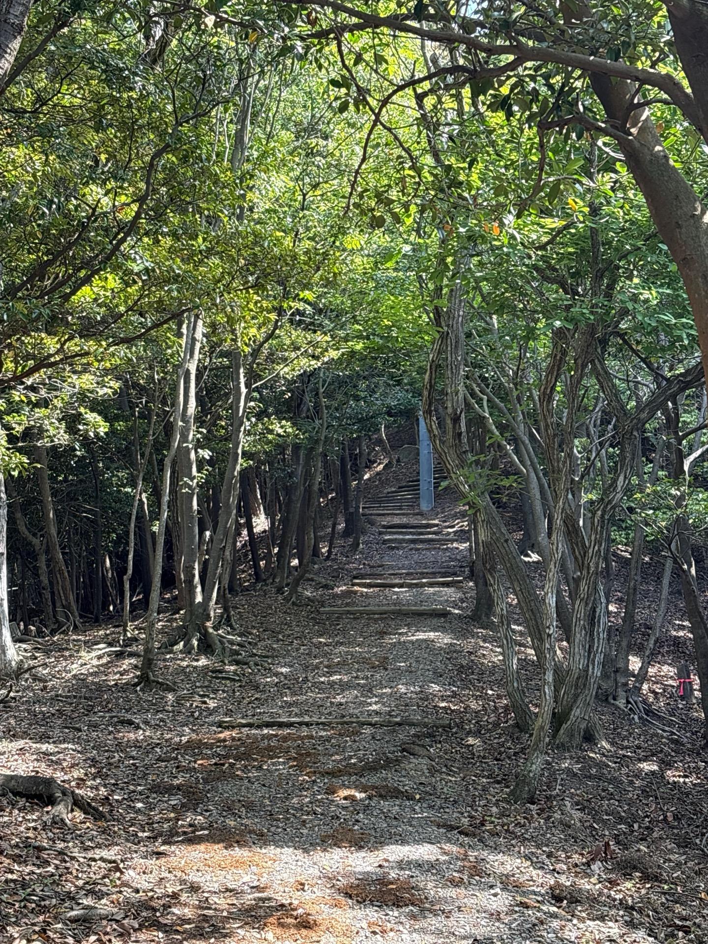 Have a good time at Mt. Gongen / リアンさんの阿武山・野登呂山の活動データ | YAMAP / ヤマップ