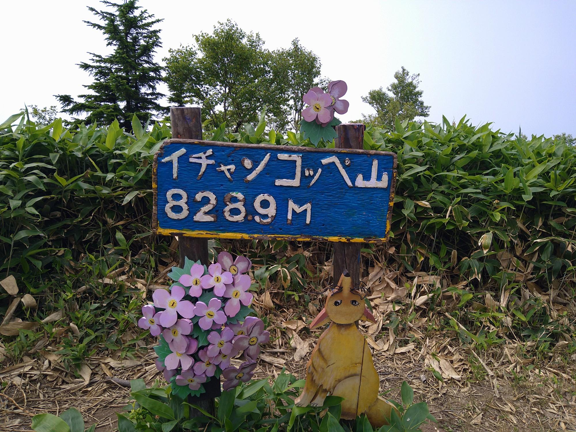 イチャンコッペ山 / hirohiroさんのイチャンコッペ山の活動データ | YAMAP / ヤマップ