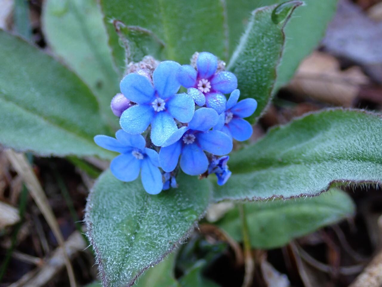 荒倉山 / hidejさんの高館山・荒倉山の活動データ | YAMAP / ヤマップ
