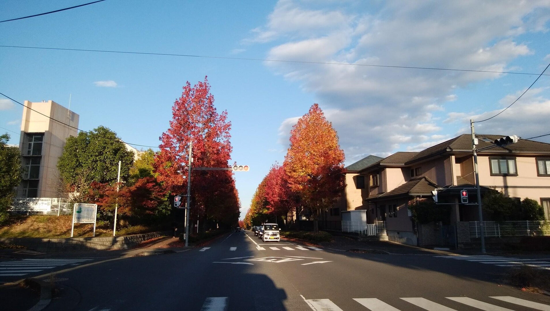 2022/10/29 飯能ハイク / ひょっこりひょうたん島さんの天覧山・多峯主山・天覚山の活動データ | YAMAP / ヤマップ