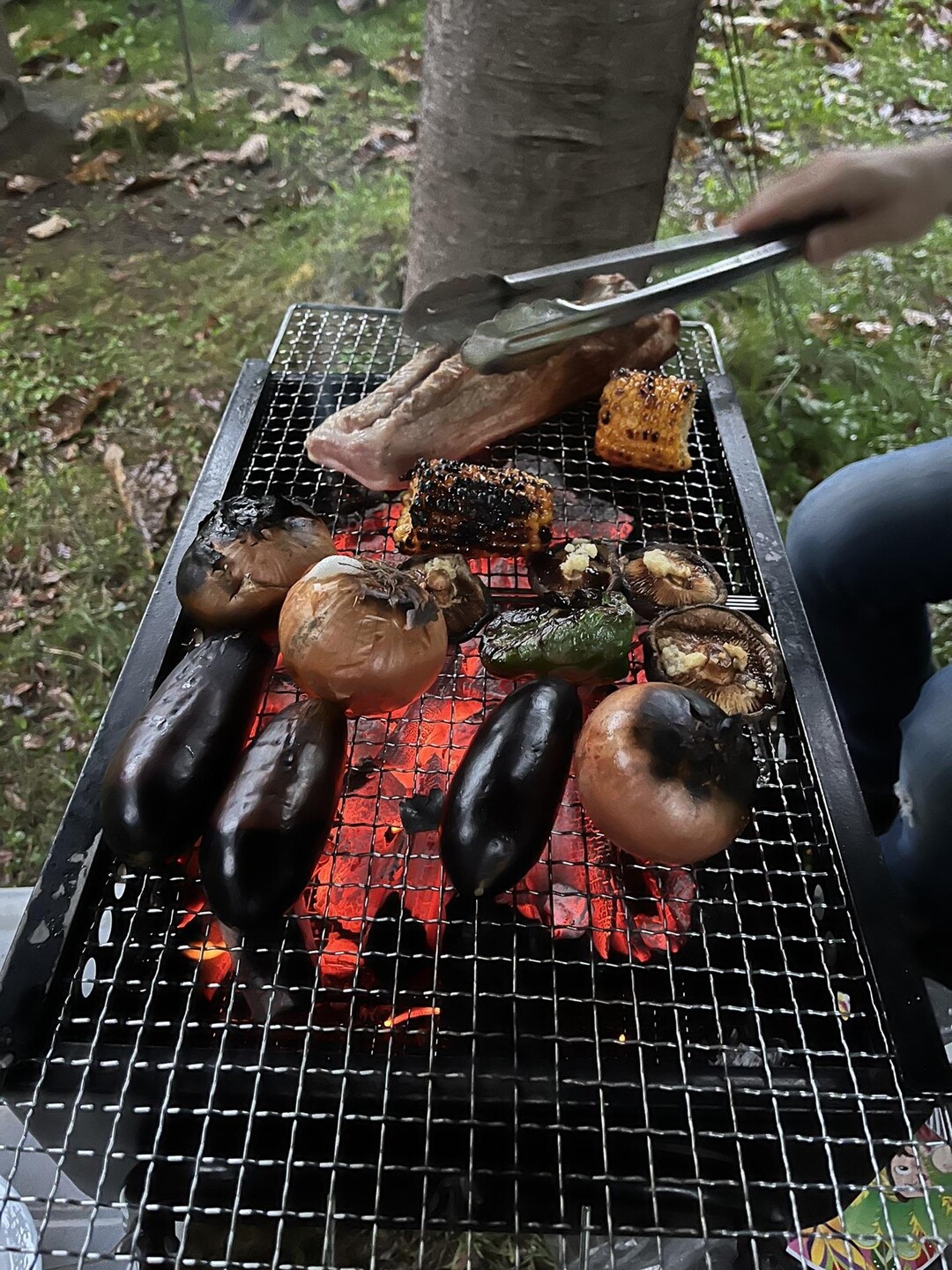 会津駒ヶ岳登山前夜の泉キャンプ場での男の... / takehiko.Kさんのモーメント | YAMAP / ヤマップ