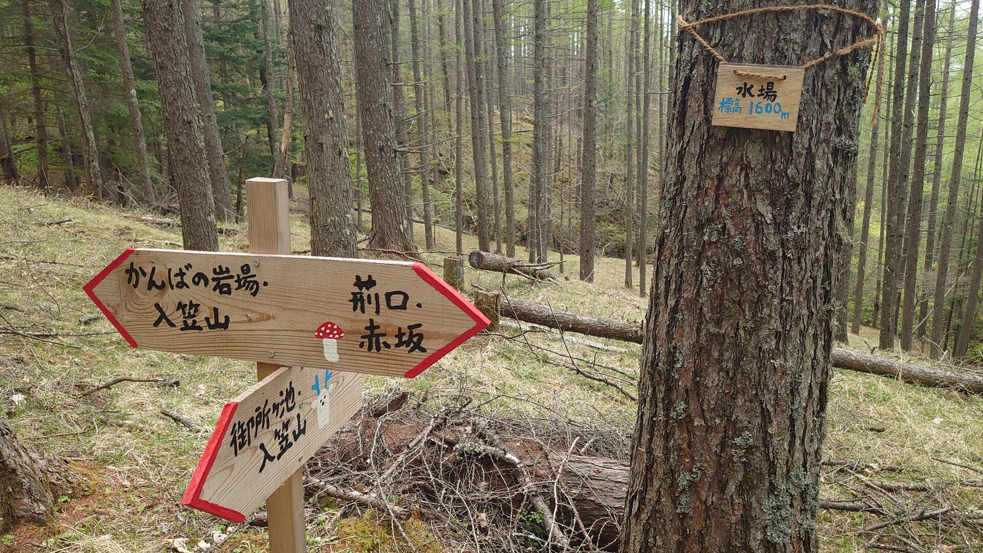 優211さんの投稿したフィールドメモ | YAMAP / ヤマップ