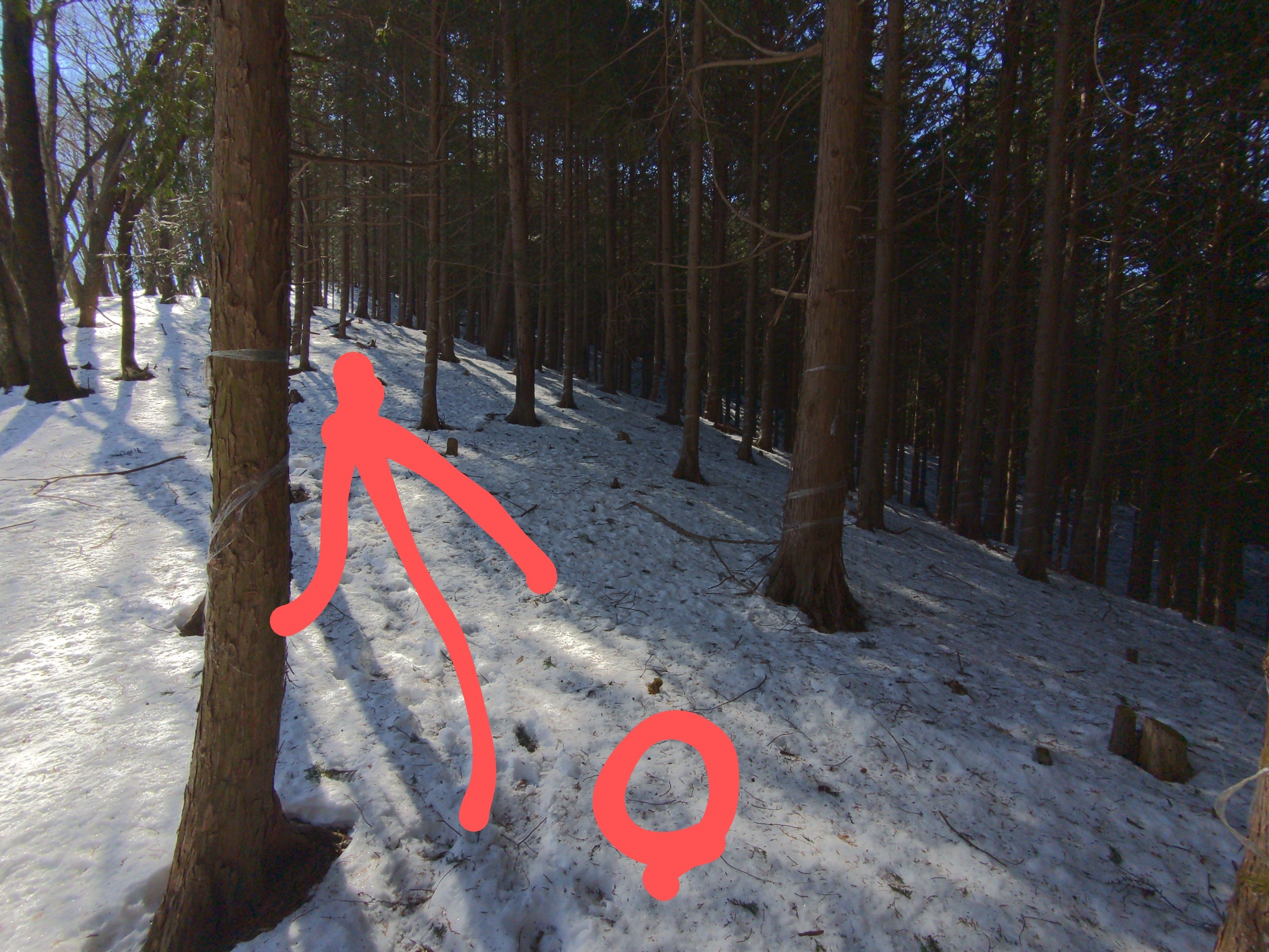 Okamonさんの投稿したフィールドメモ | YAMAP / ヤマップ