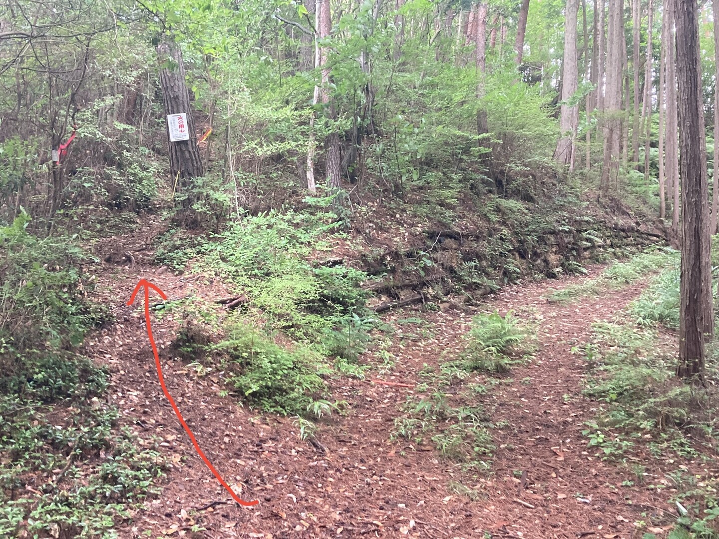 kazz309さんの投稿したフィールドメモ | YAMAP / ヤマップ