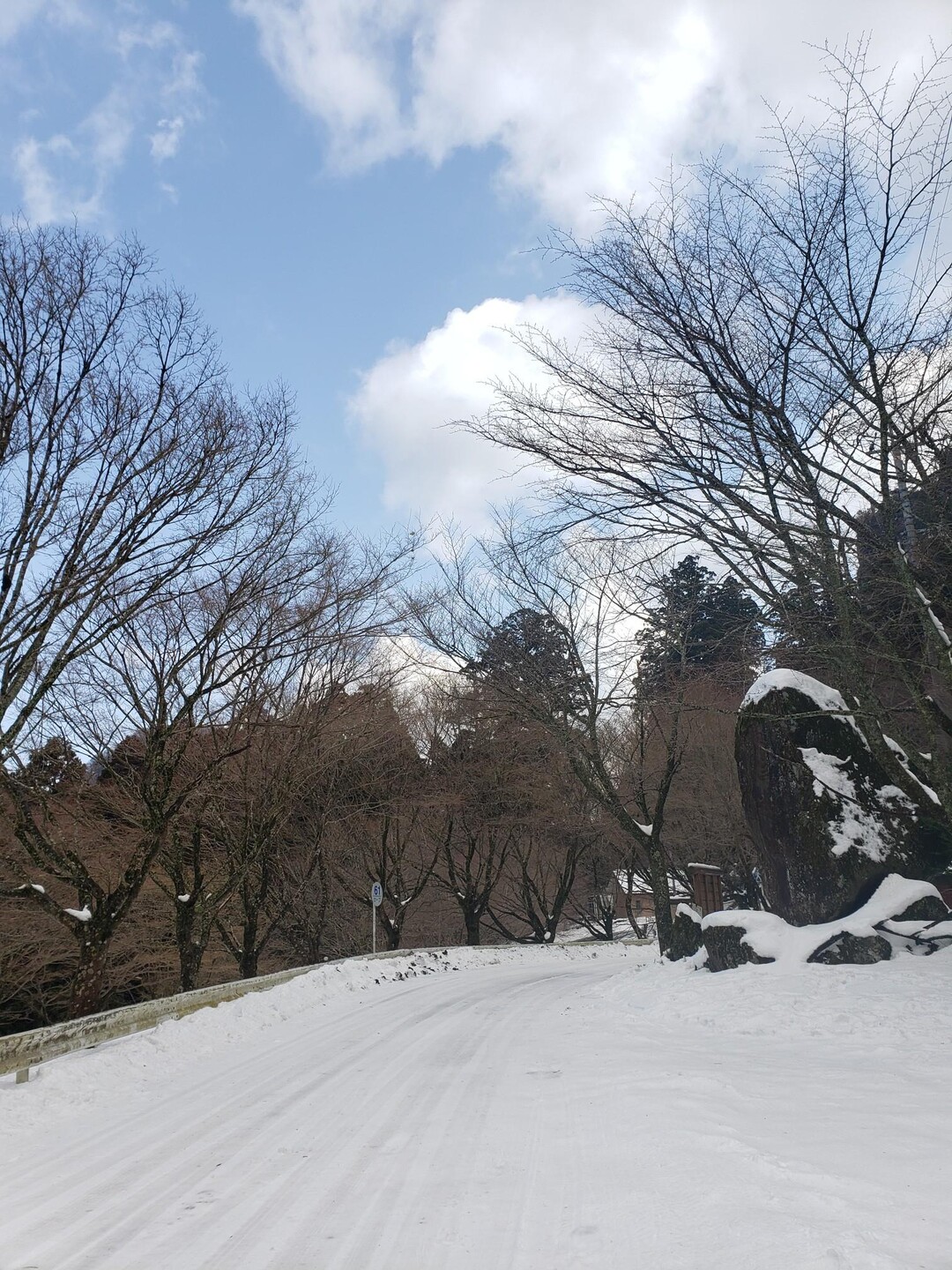 登山-2023-02-01 / bunさんの登山の活動データ | YAMAP / ヤマップ