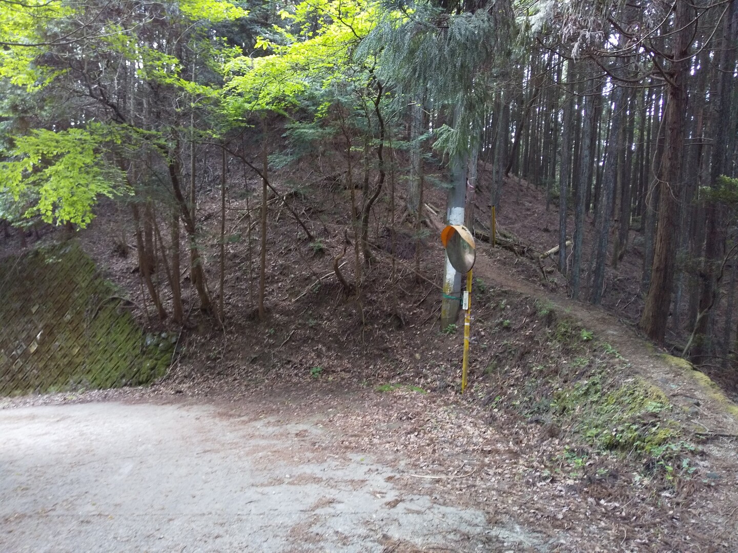 satomi29さんの投稿したフィールドメモ | YAMAP / ヤマップ