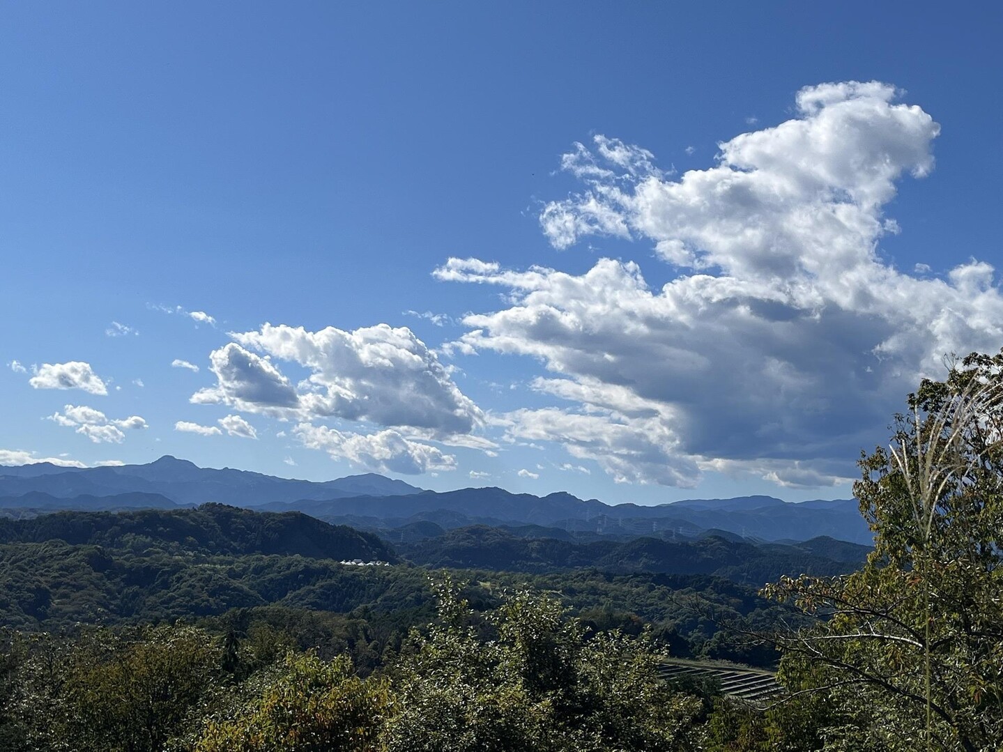 天覧山・多峯主山・吾妻峡 / mayuさんの天覧山・多峯主山・天覚山の活動データ | YAMAP / ヤマップ