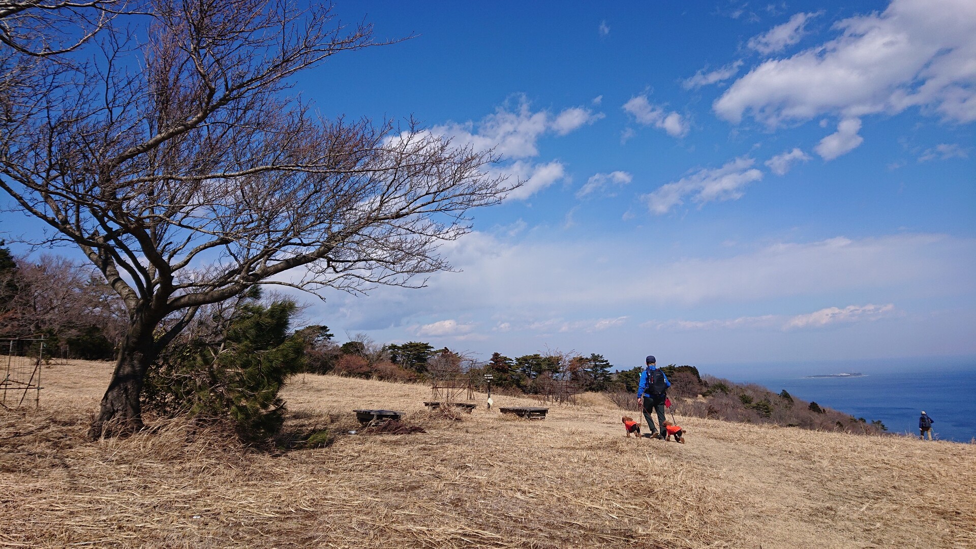 大平山(伊東市丸山公園から周回) / fuu-rinさんの古城山・大平山・伊東アルプスの活動データ | YAMAP / ヤマップ