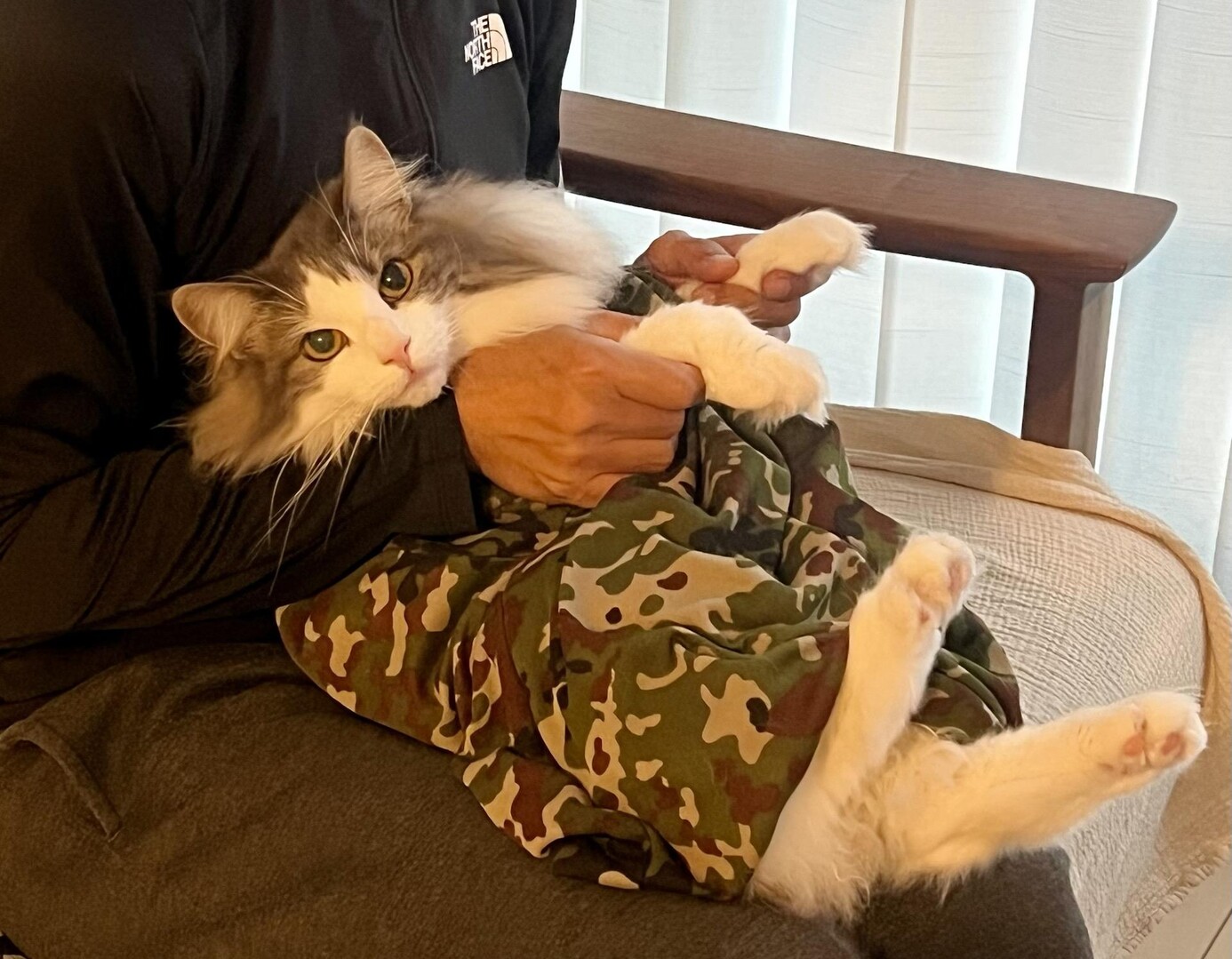 コスプレ🐱 予測ではサブ3.5達成😁... / Shin5さんのモーメント | YAMAP / ヤマップ