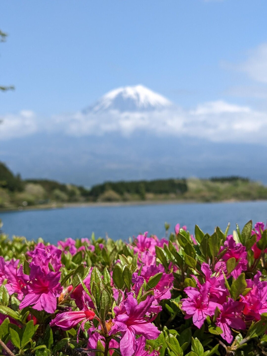 長者ヶ岳 72・天子ヶ岳 29 / nonさんの長者ヶ岳・天子ヶ岳の活動日記 | YAMAP / ヤマップ