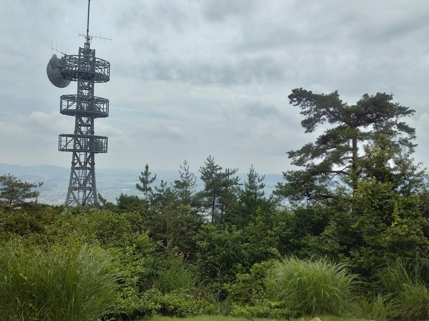 『KAKITSU 10km』 / あんさんの亀山・鶏籠山・的場山の活動データ | YAMAP / ヤマップ