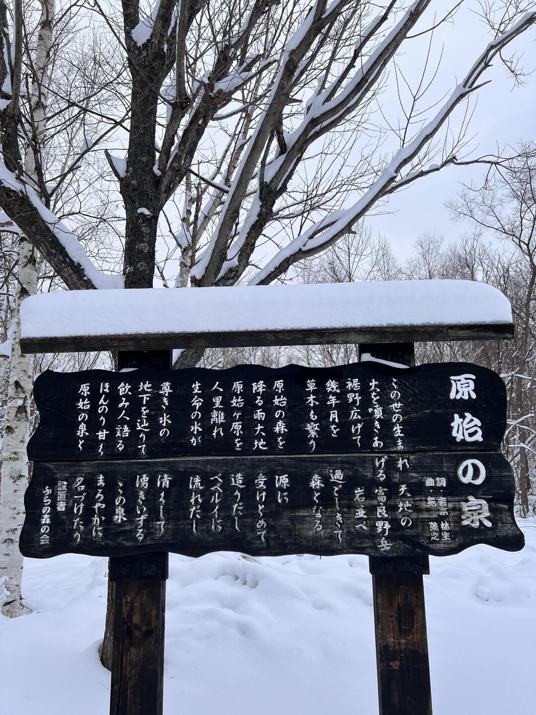 原始の泉・ふらのラテール・なまこ山 / FUM!さんの芦別市の活動データ | YAMAP / ヤマップ