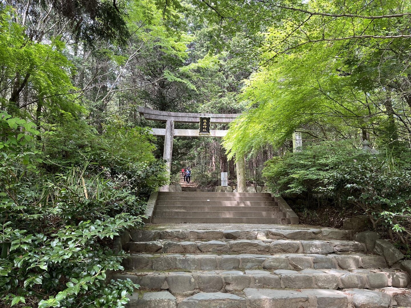 本宮山トレ③ あち〜🥵 / Kumagoro さんの本宮山・大日山・風頭山の活動データ | YAMAP / ヤマップ