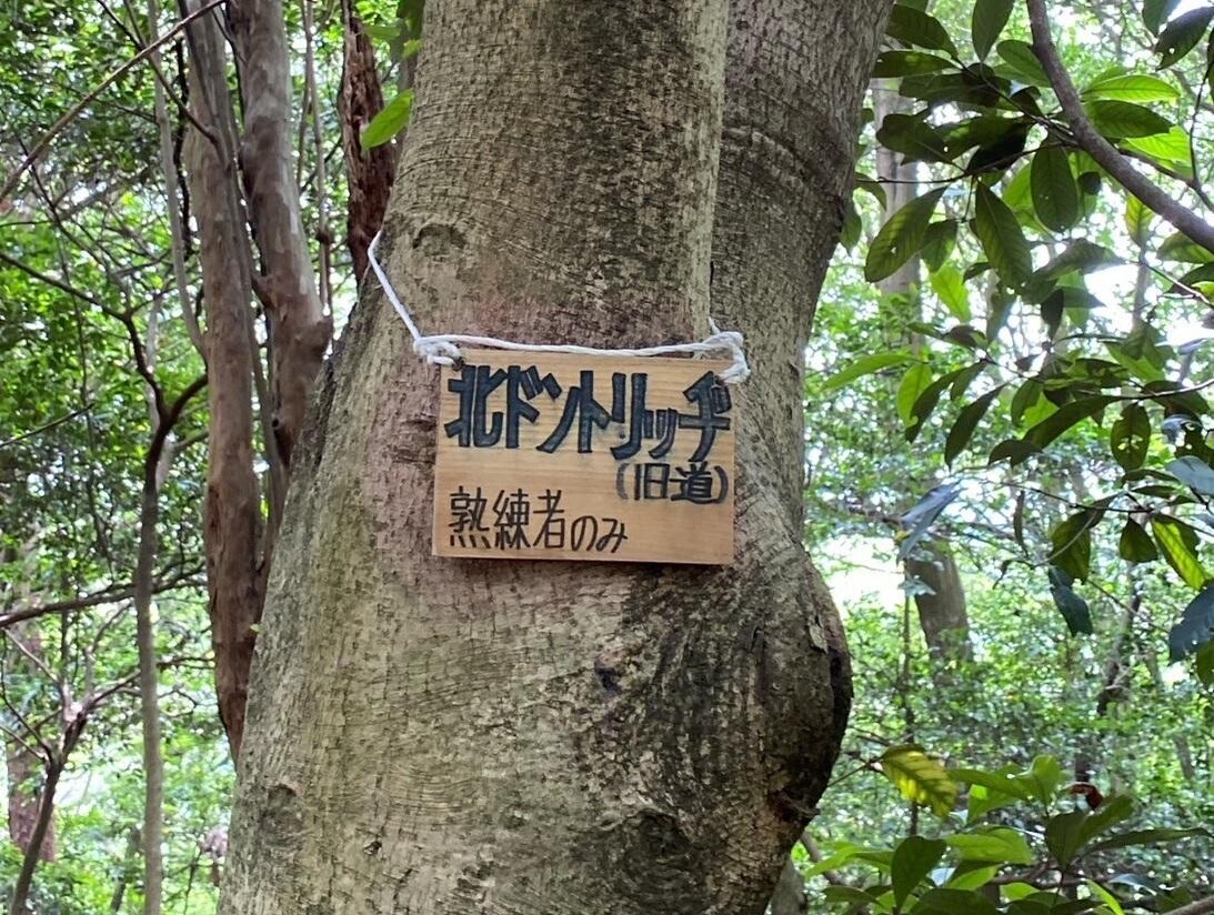 森林植物園へドントリッジから / asayanさんの六甲山・長峰山・摩耶山の活動日記 | YAMAP / ヤマップ